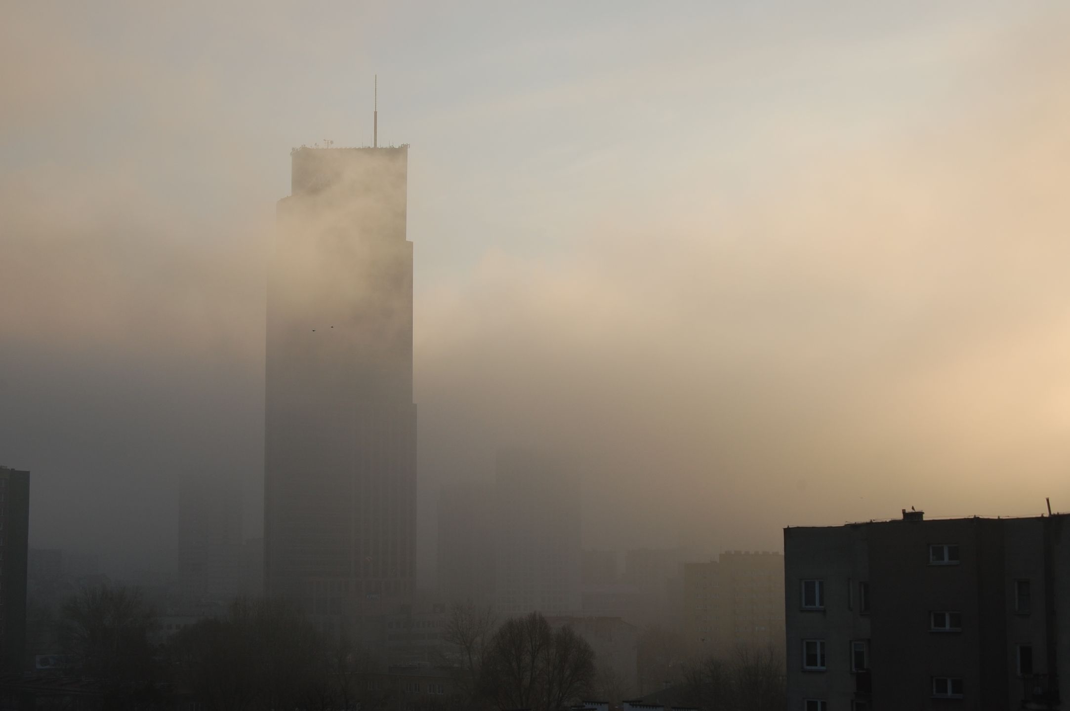 Walka ze smogiem. Oto najlepsze sposoby oczyszczania powietrza w mieszkaniu