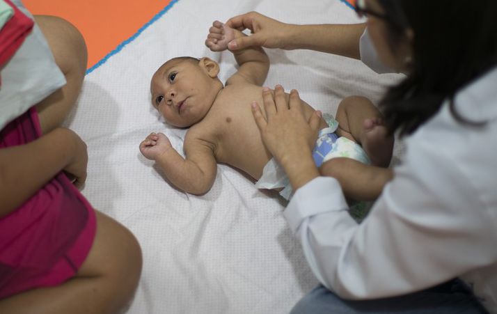 Wirus Zika to już zagrożenie globalne
