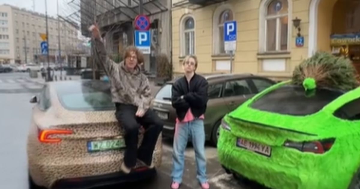 Bagi zachwycony Teslą. Włochaty pojazd robi wrażenie - Vibez