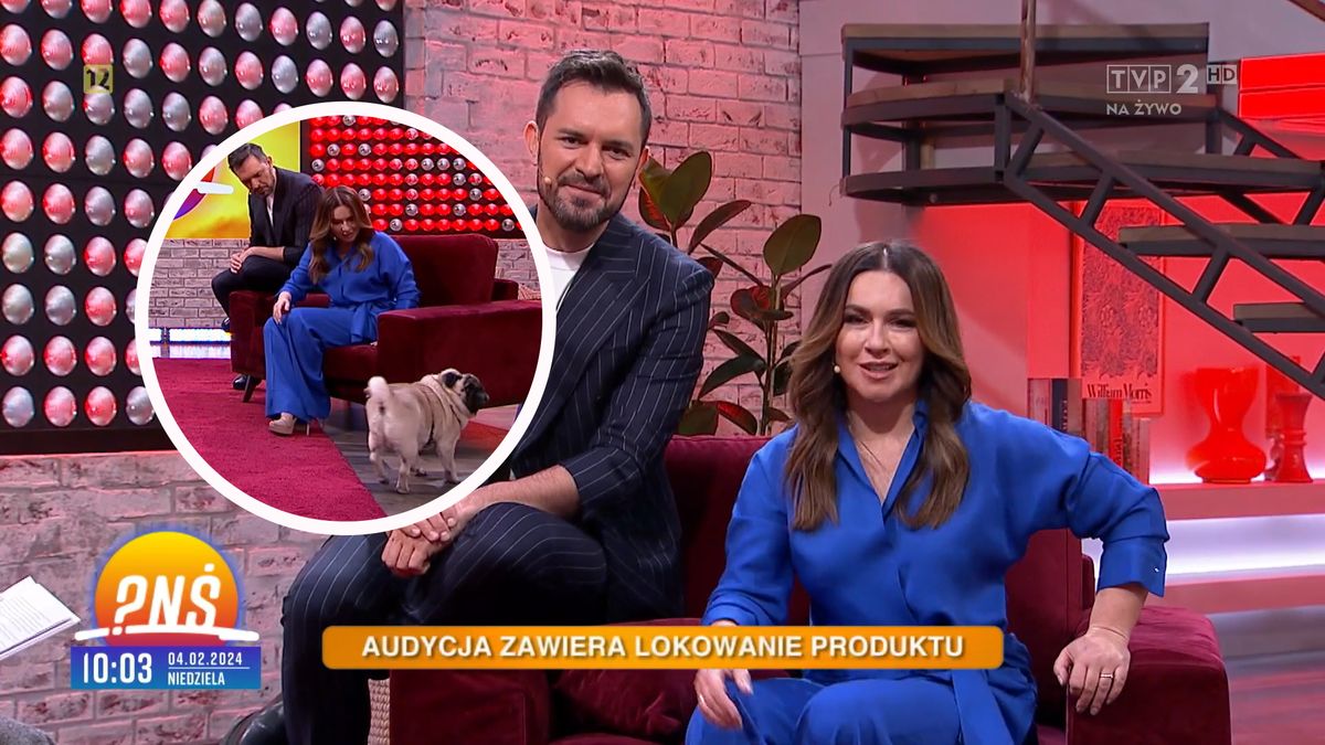 Pokazał Tadli, kto tu rządzi. Weteran "PnŚ" kompletnie ją zignorował - WP Teleshow