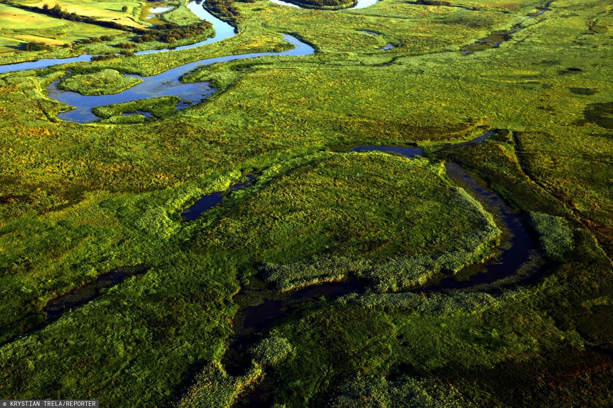 Największy park narodowy w Polsce. Sprawdź, co o nim wiesz - WP Wiadomości