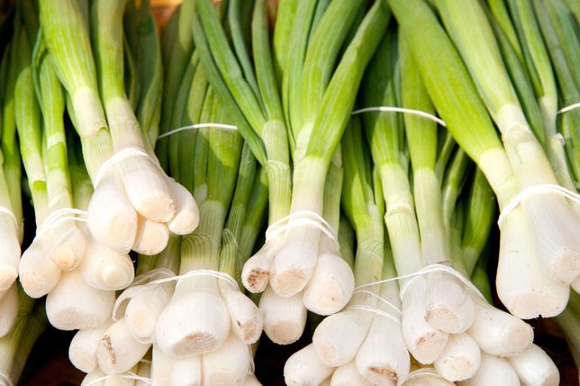 Cebula dymka – właściwości, zastosowanie, opis - WP Kuchnia