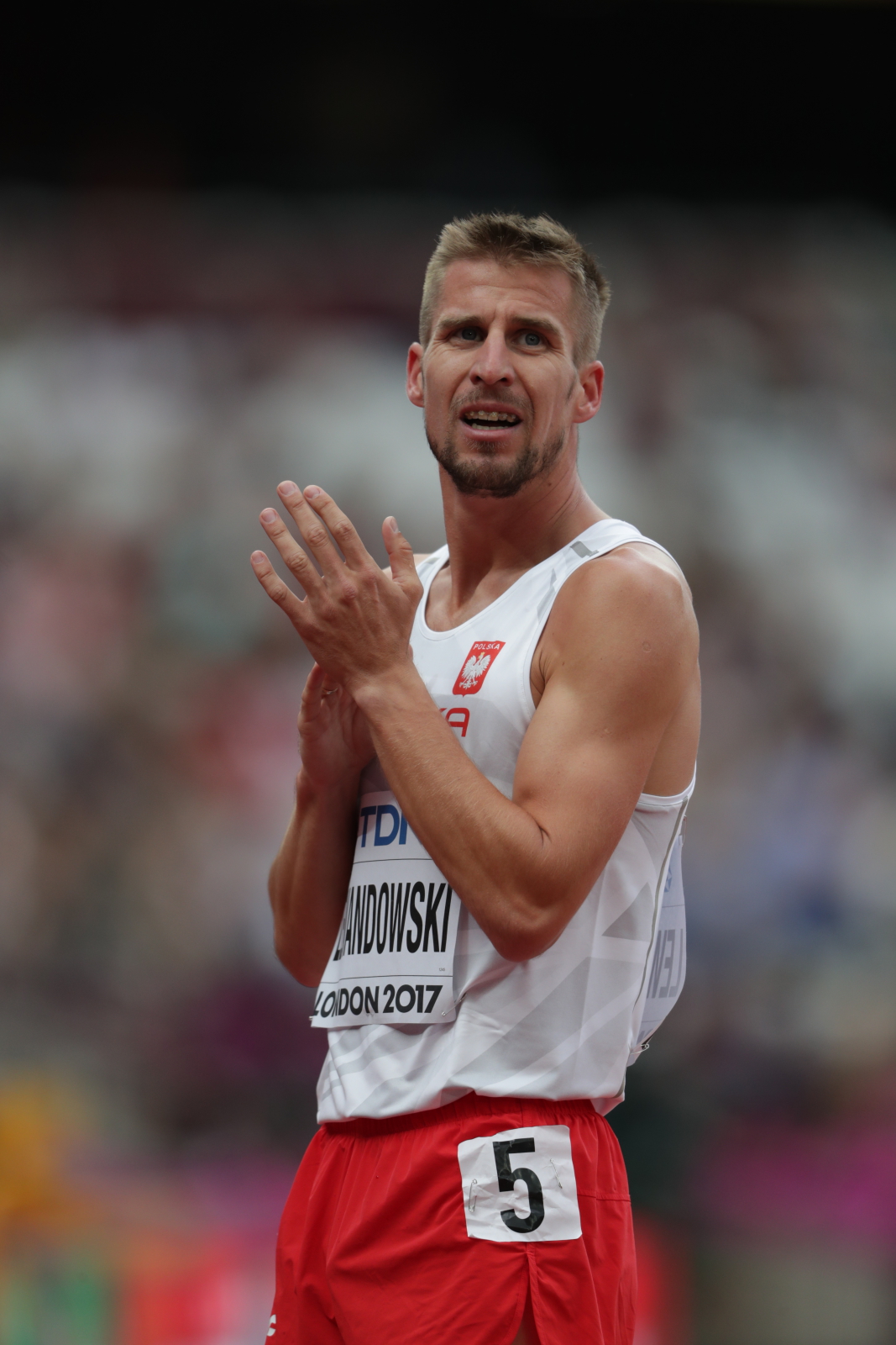 Marcin Lewandowski: Nie mam pojęcia czemu tak się stało - WP SportoweFakty