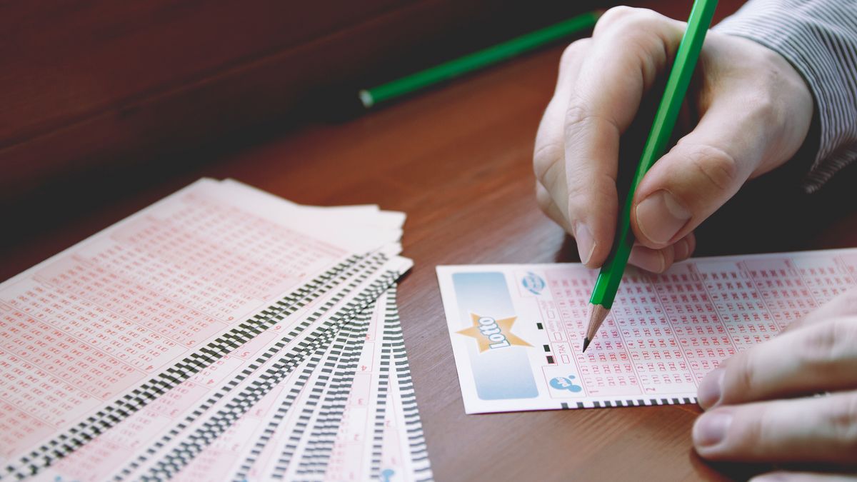 Wyniki Lotto 17.10.2024 – losowania Lotto, Lotto Plus, Multi Multi ...