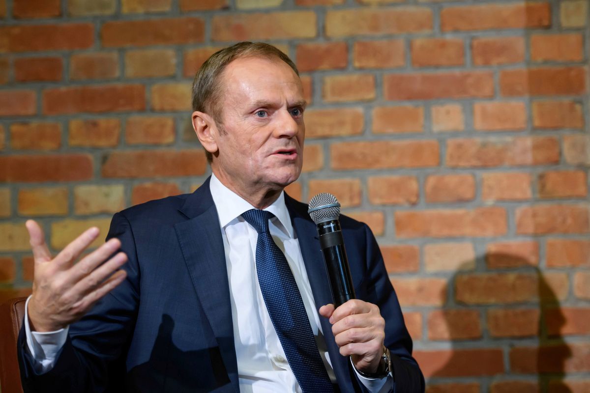 Donald Tusk jak Robert Lewandowski? Frankowski ocenił byłego premiera ...