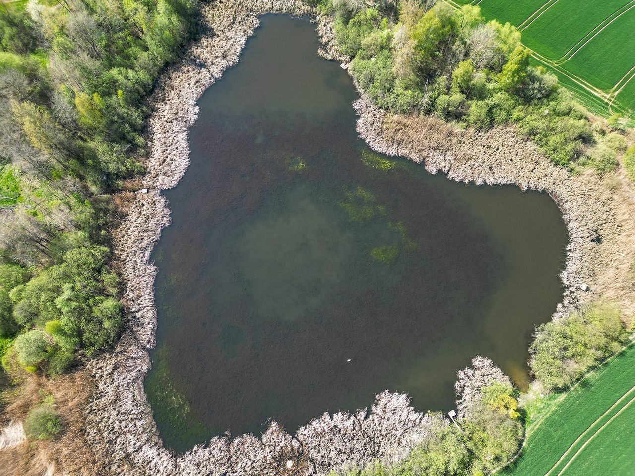 Okolice stawu w kształcie serca się zazieleniły. Zobacz piękno Dolnego ...