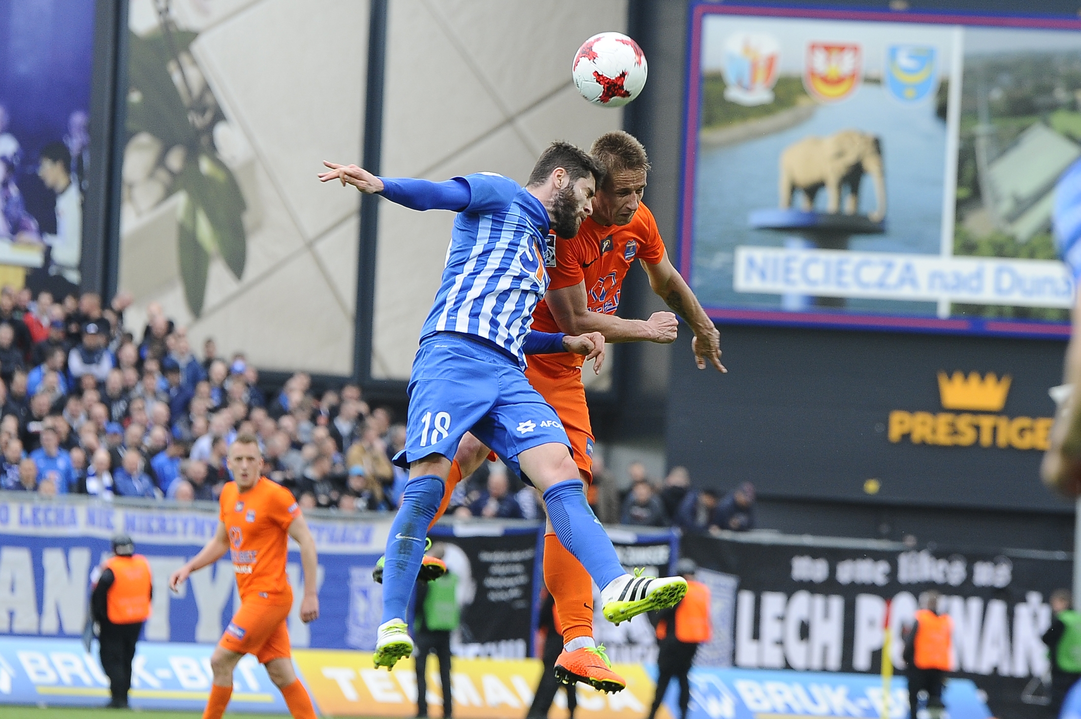 Oficjalnie: Mihai Radut zostaje w Lechu Poznań - WP SportoweFakty