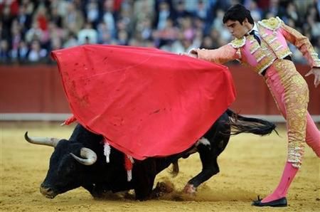 Byk vs. torreador - WP Wiadomości