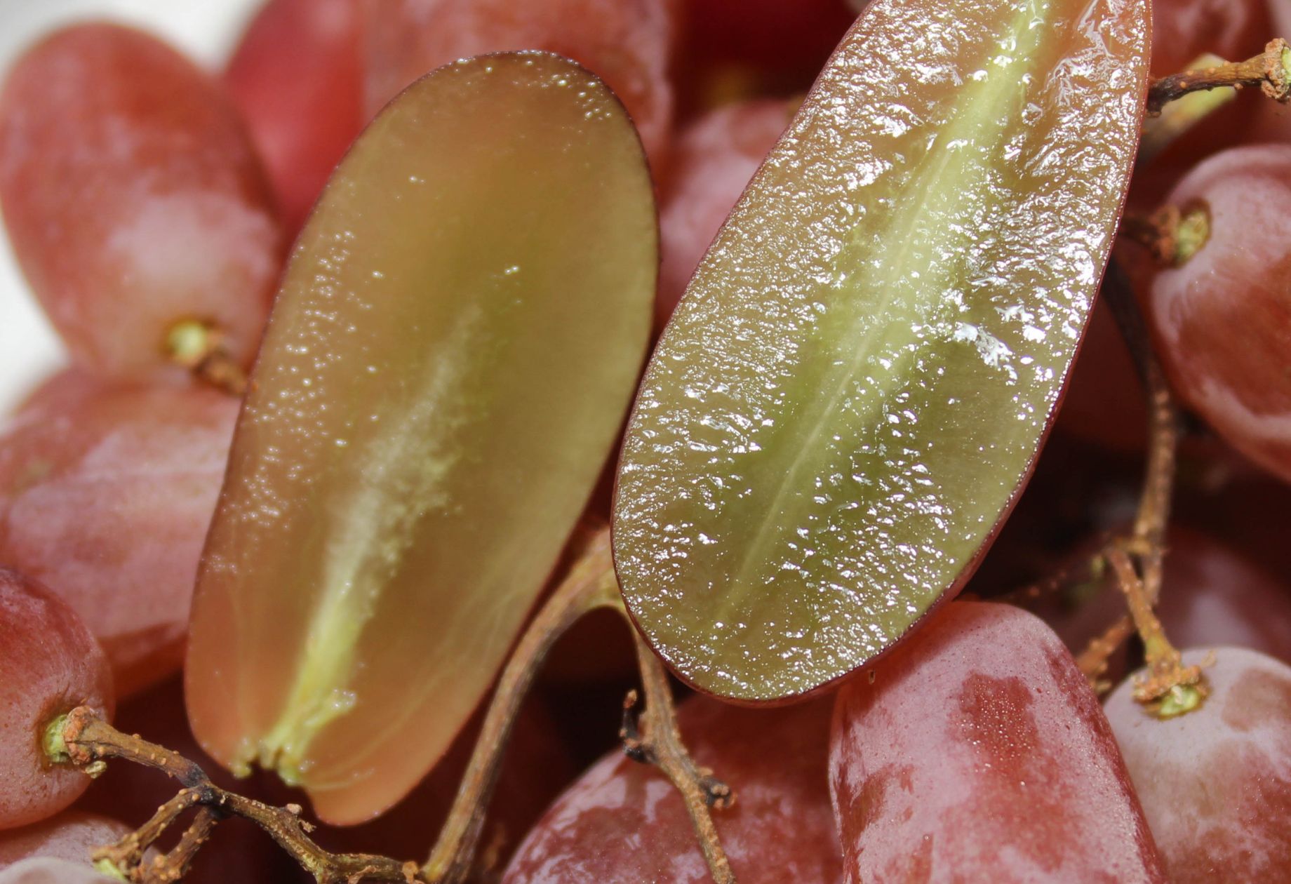 Sięgaj po nie codziennie. To "superfood" dla serca oraz mózgu