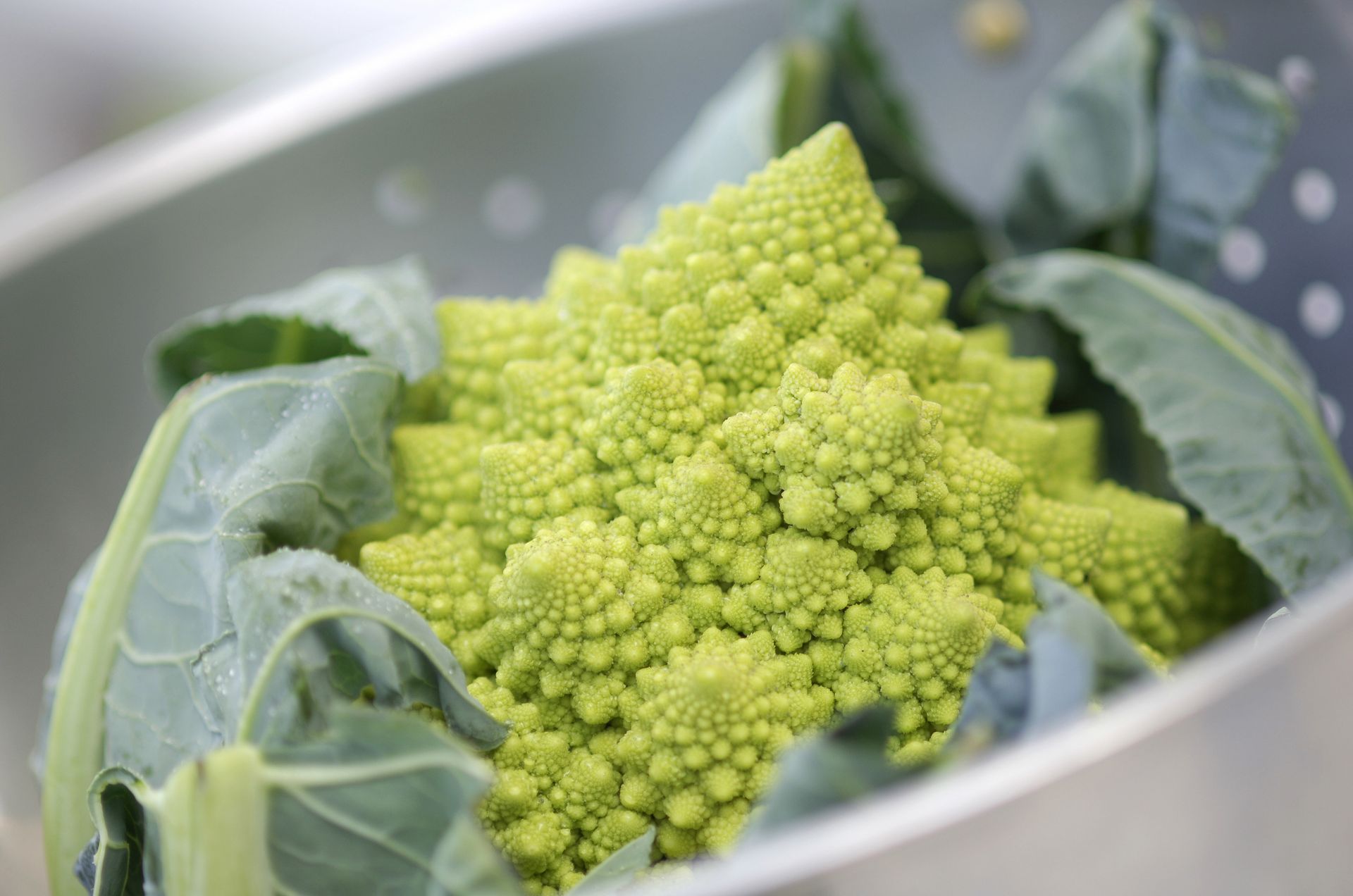 Jak gotować kalafior romanesco? Pamiętaj o jednej zasadzie