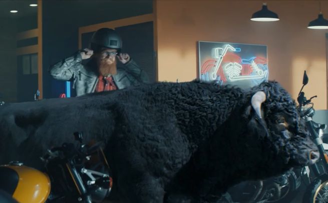 Byk chwycony z rogi reklamuje kredyt w BGŻ BNP Paribas (wideo)