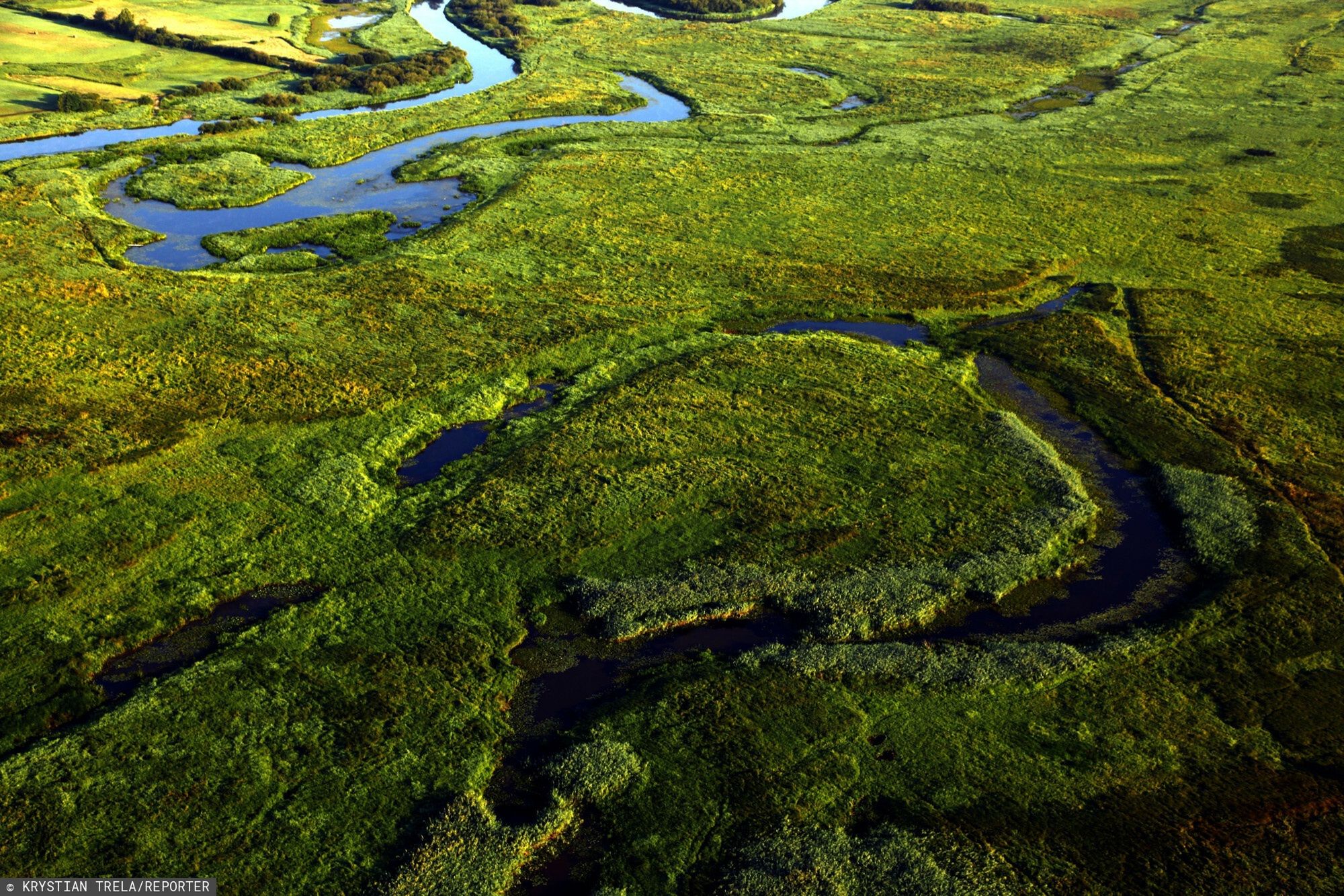 Największy park narodowy w Polsce. Sprawdź, co o nim wiesz - WP Wiadomości