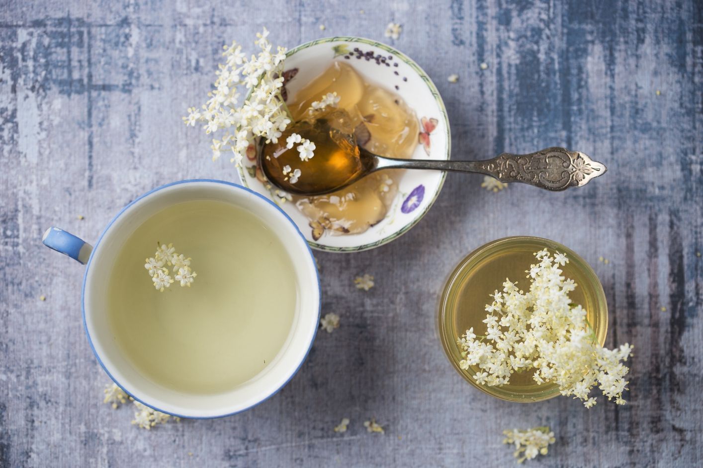 Dziki bez – jak wykorzystać go w kuchni