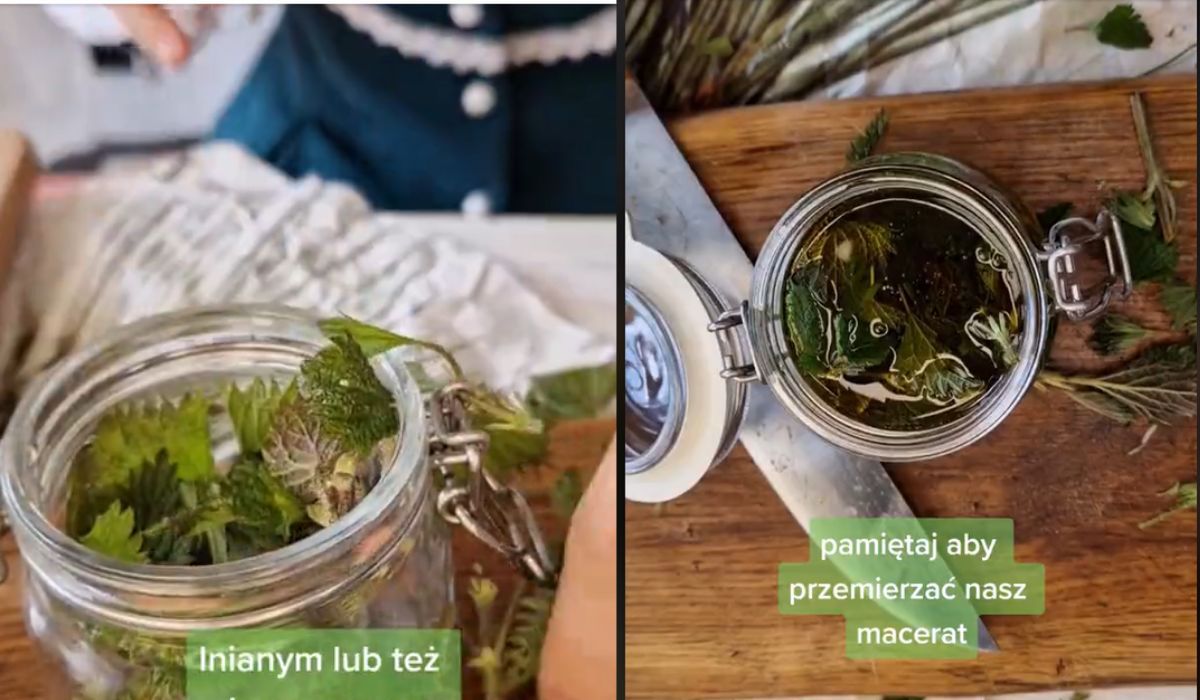 Ten olej sprawi, że włosy będą rosnąć jak opętane. Zielarka podała ...