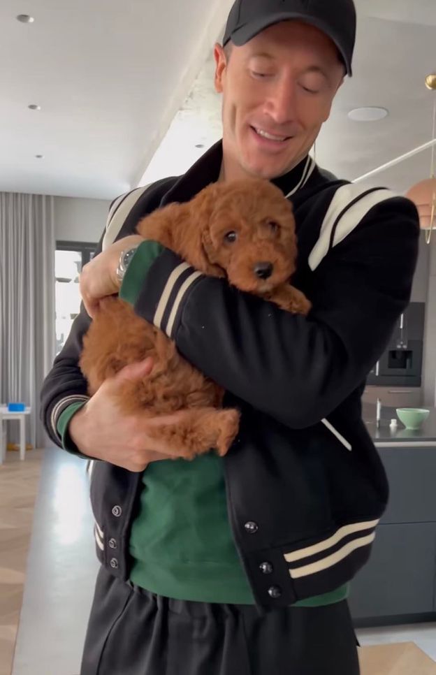 TYLKO NA PUDELKU: Sędzia kynologiczny surowo o wyborze pseudohodowli ...