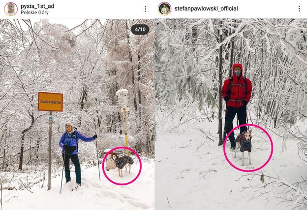 TYLKO NA PUDELKU: Pezet rozstał się z dziewczyną! Katarzyna Pyszyńska ...