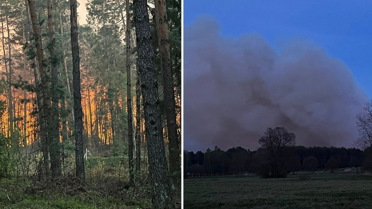 Katastrofa podczas gaszenia pożaru lasu. Nowe informacje od służb