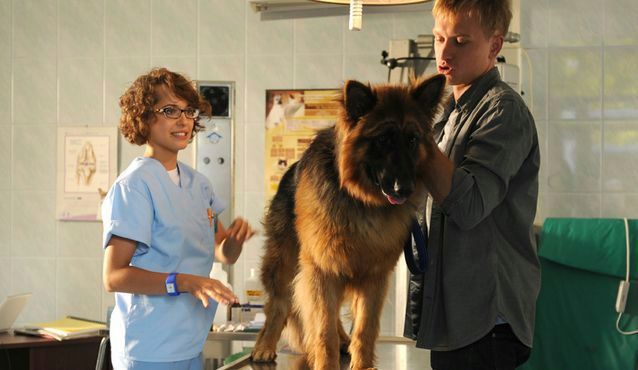 "Komisarz Alex": Kto skradnie serce komisarza Bromskiego? - WP Teleshow