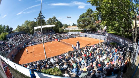 Atp 250 store