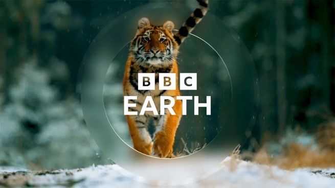 Zmiany w kanale BBC Earth. „Główną ideą marki jest okno na świat”