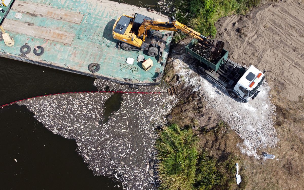 "Stan Odry się poprawia". Nowy komunikat GIOŚ o badaniu próbek - WP ...