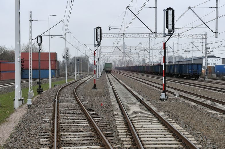 Aleksandra Merchel-Koter zrezygnowała. Córka prezesa PKP PLK była ...