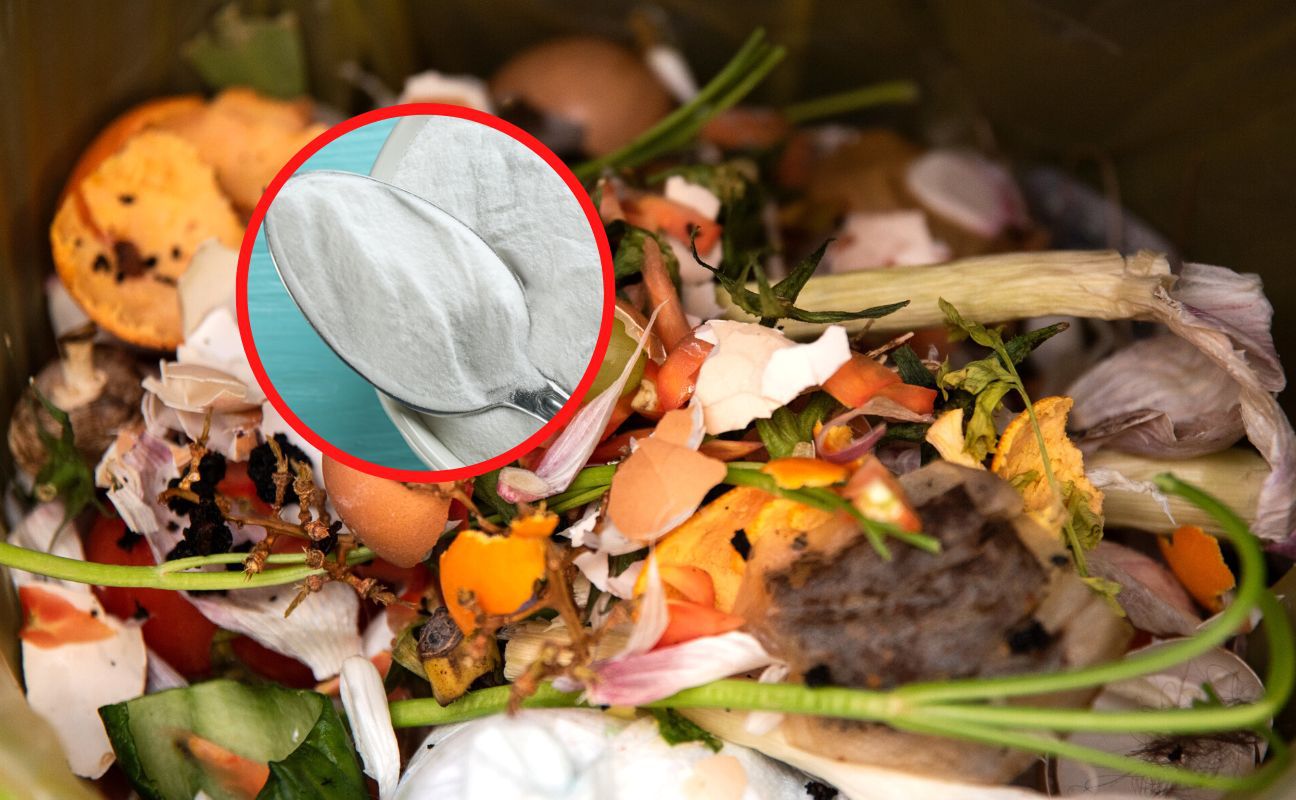 Fetor z kosza ulotni się na zawsze. Wysyp na dno - WP Kobieta