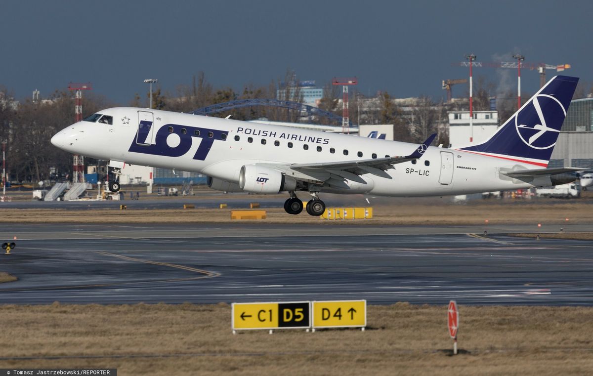 LOT ogłasza nowe kierunki z Polski za granicę. Okazja na wakacje - WP Wiadomości
