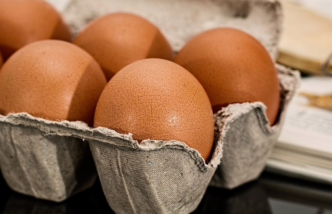 Jajo kurze – wartości odżywcze, sposoby podania, kategoryzacja ...