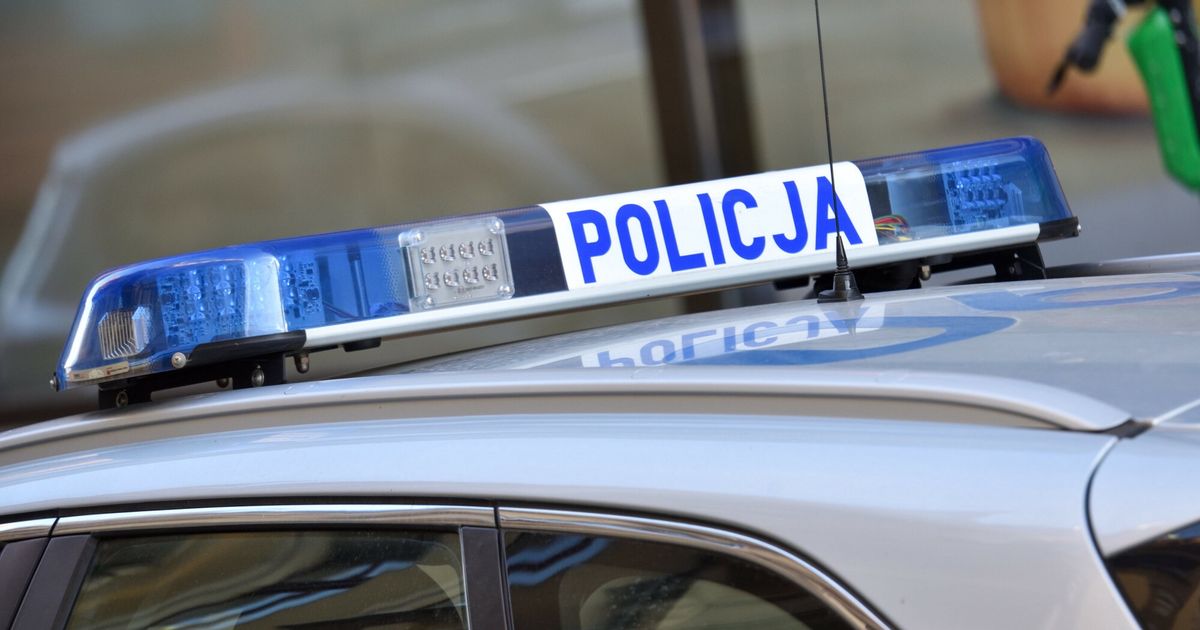 Napad na bank. Służby w akcji - WP Wiadomości