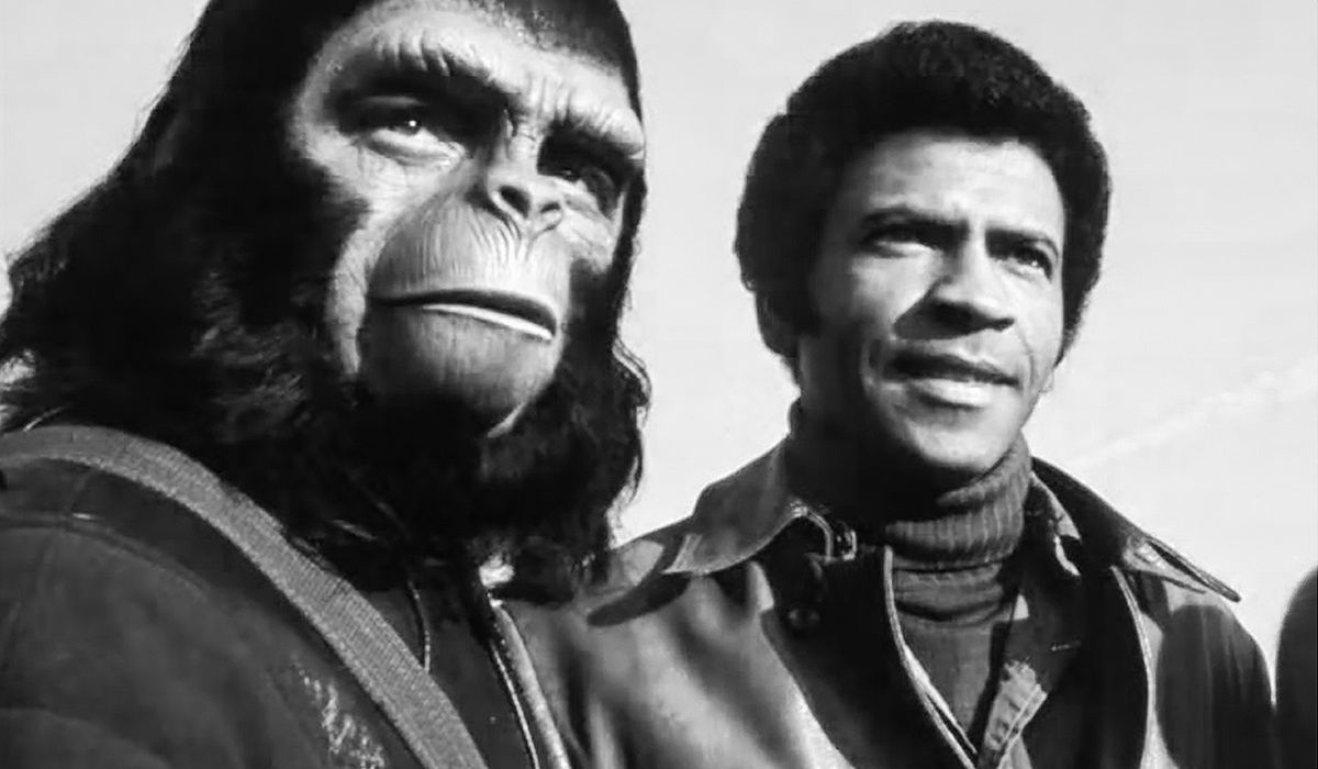 Nie żyje Austin Stoker. Był gwiazdą kultowych produkcji - WP Film