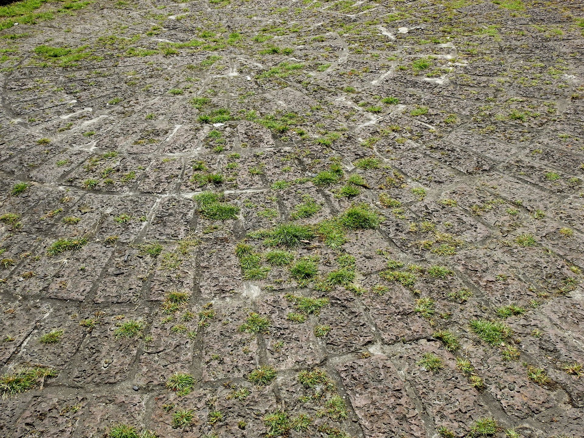 Wylej na kostkę. Dosłownie rozpuści brud i mech