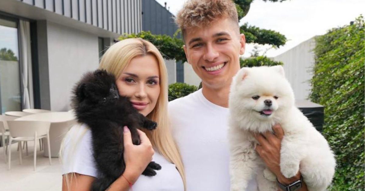 Ludzie na minimalnej bronią bogaczy? Awantura o psy Friza i Wersow - Vibez