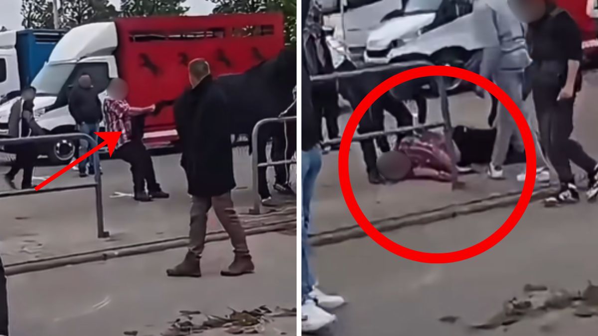 Koń go kopnął, po tym jak sam go drażnił. Dorożkarz traci pracę