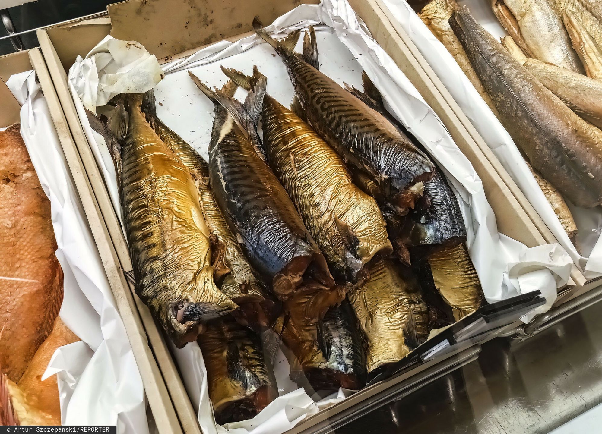 Zamykają kultowy sklep rybny. Pojawiła się kartka. "Tu jest mój dom"