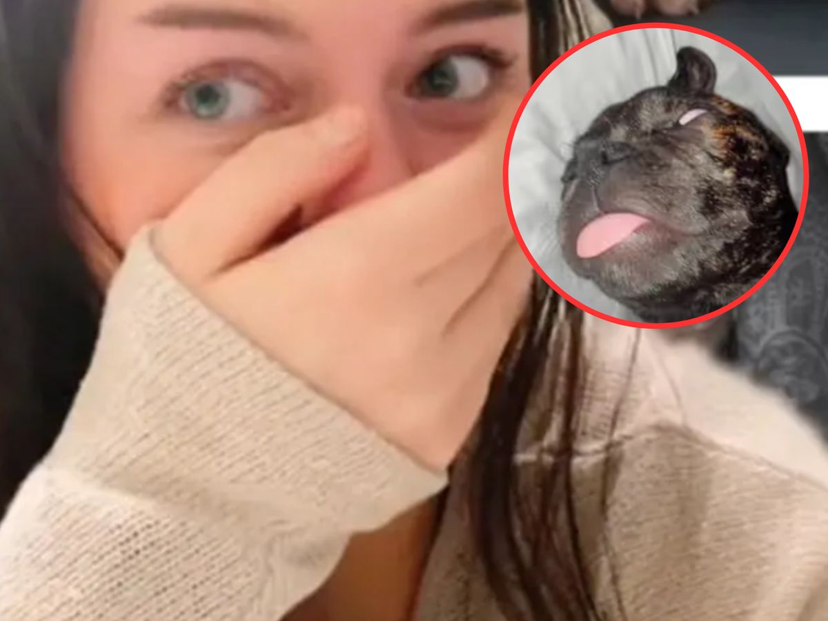 Kupiła "buldożka" za 4,5 tys. zł. Pokazała, co dostała - WP Kobieta