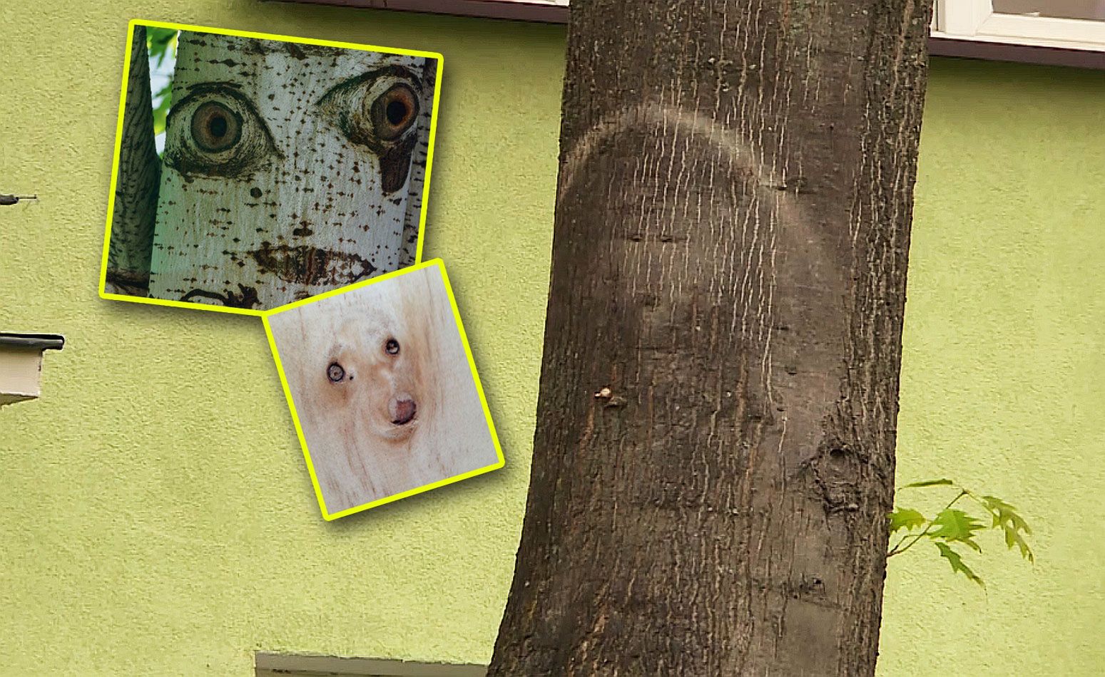 "Cud w Parczewie" to pareidolia. Ludzie dają się ponieść emocjom - WP Książki