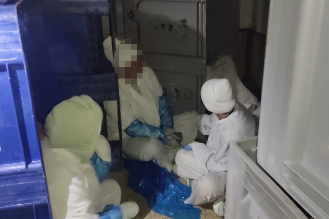 Pracownicy w pojemnikach na mięso. Co się stało w Małopolsce? - WP Finanse