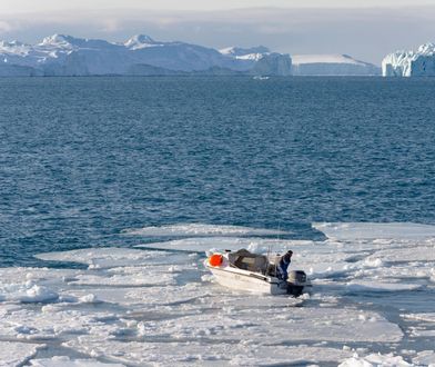 Morze barentsa - Najnowsze informacje - WP Wiadomości