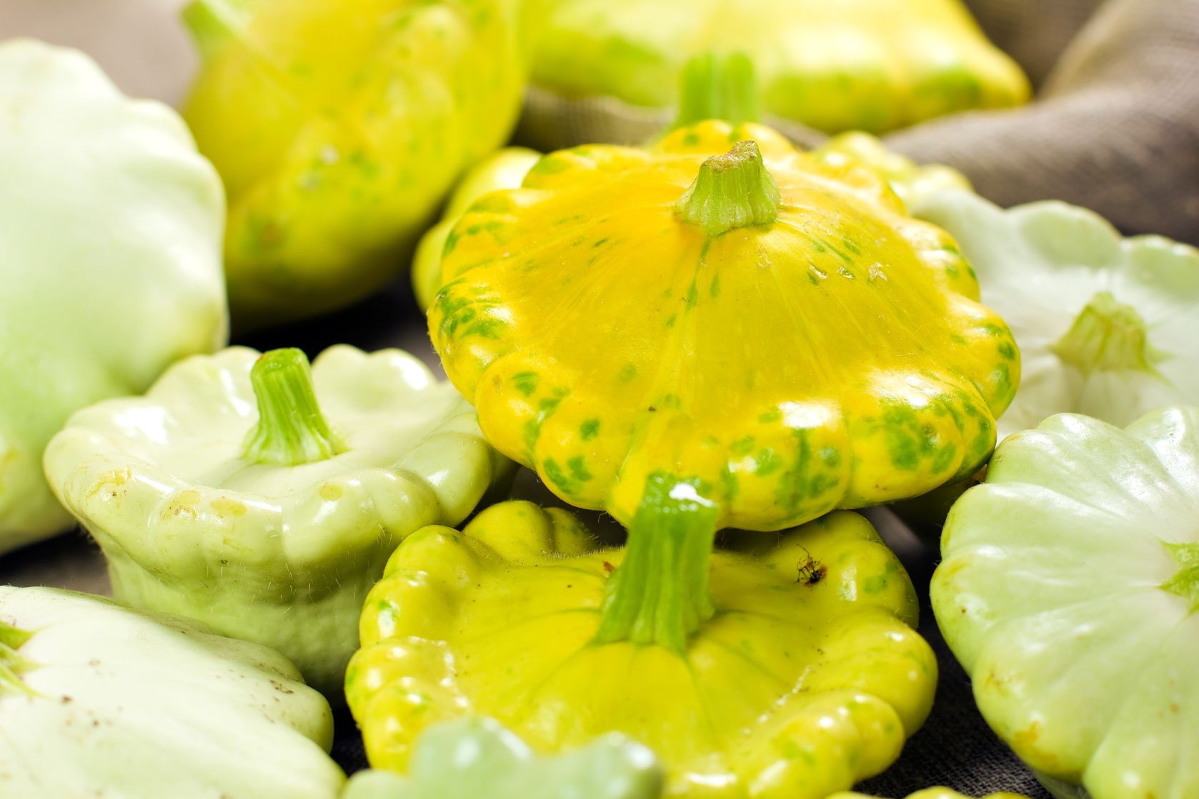 Patison – zapomniane warzywo wraca do łask. Dlaczego warto je jeść ...