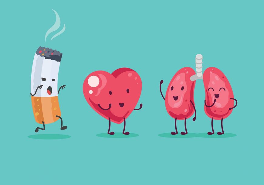 Nikotyna w organizmie - Mikstura oczyszczająca organizm z nikotyny ...