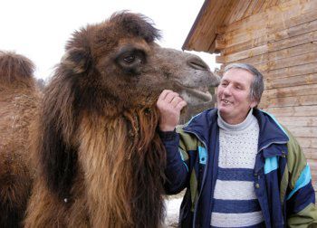 Struś chowa głowę w... śniegu - WP Wiadomości