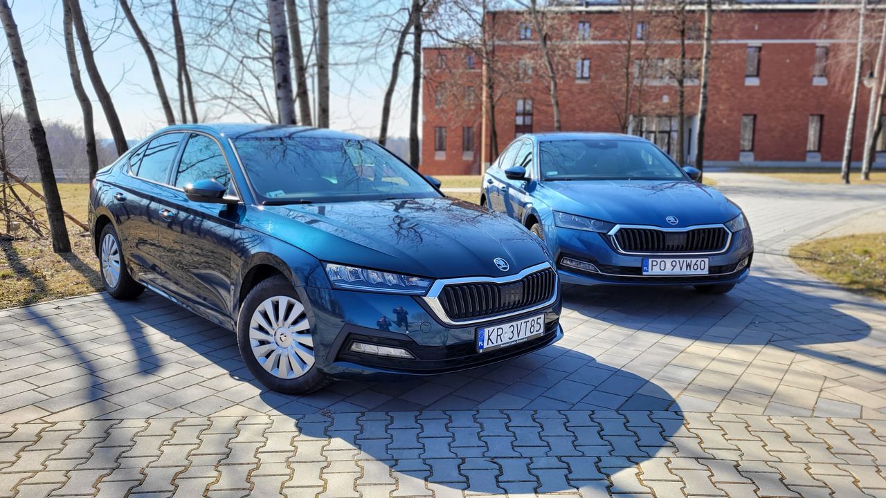 Skoda Octavia 2022 Ceny Silniki Dane Techniczne