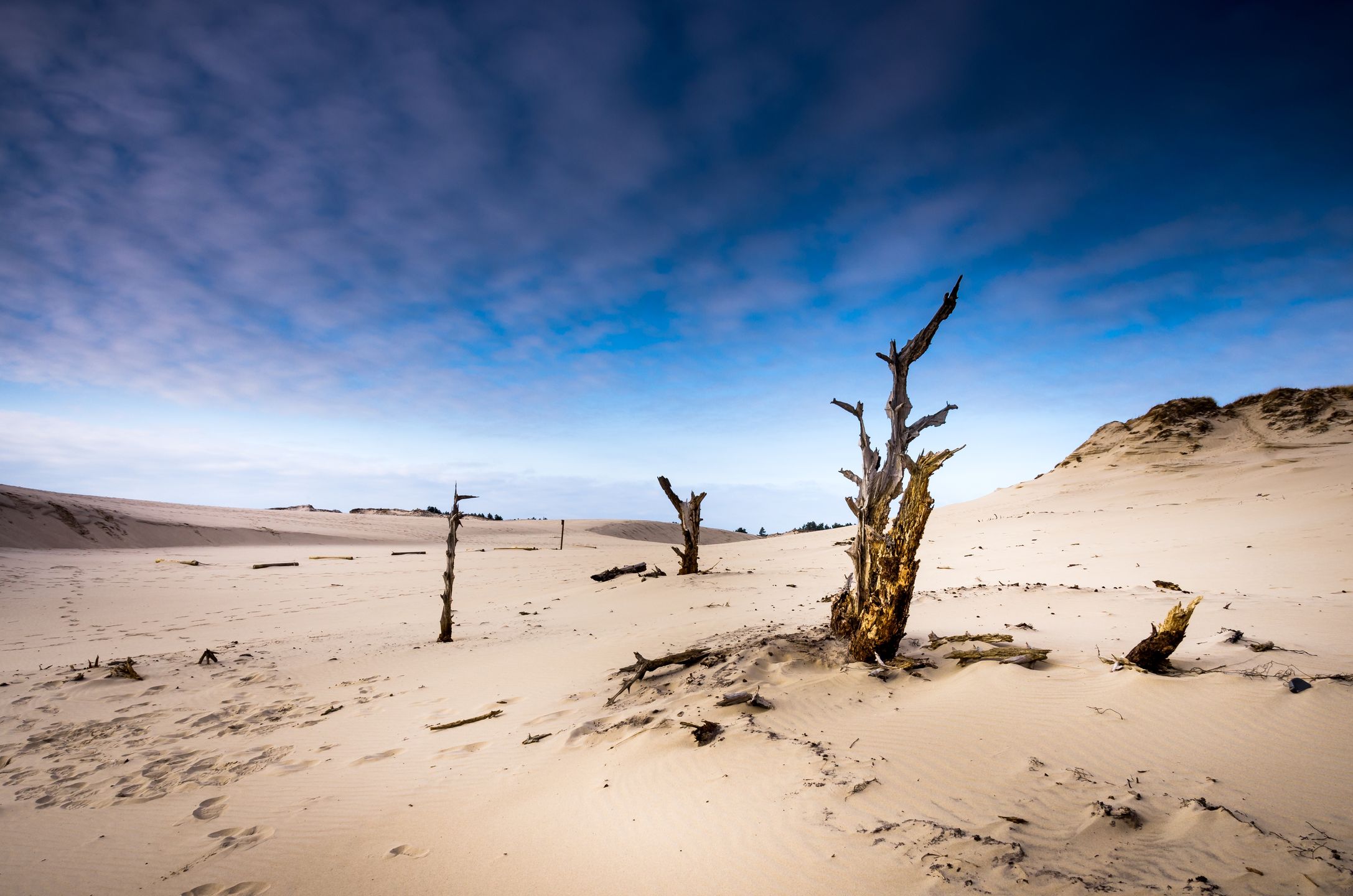 Ruchome wydmy w Słowińskim Parku Narodowym. Krajobraz rodem z pustyni ...