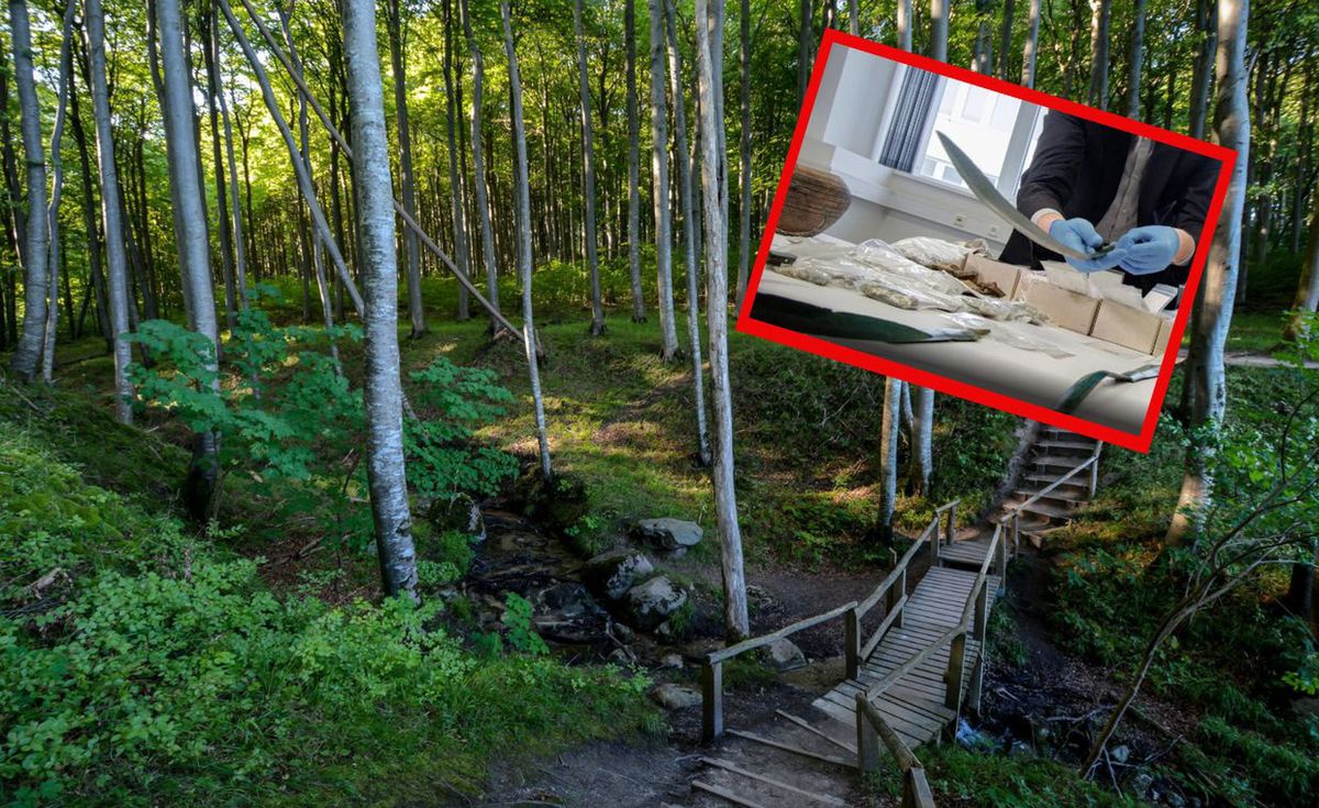 Niemcy ogłosili największe odkrycie w historii. Skarb waży niemal 7 kg ...