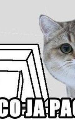 Nyan Cat, kot paczacz, Kitler. 10 najlepszych kocich memów [wideo i ...