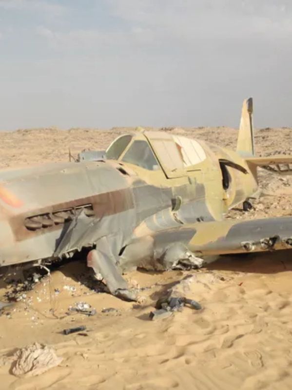 Polak znalazł go na pustyni. Leżał tam przez 70 lat