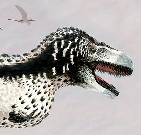 Zobacz, jak naprawdę wyglądał T. rex!