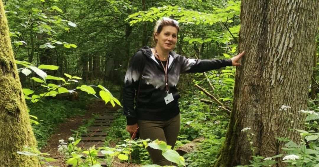 Jedyny taki las w Europie. "Ludzie nie zdają sobie sprawy, jaki skarb ...