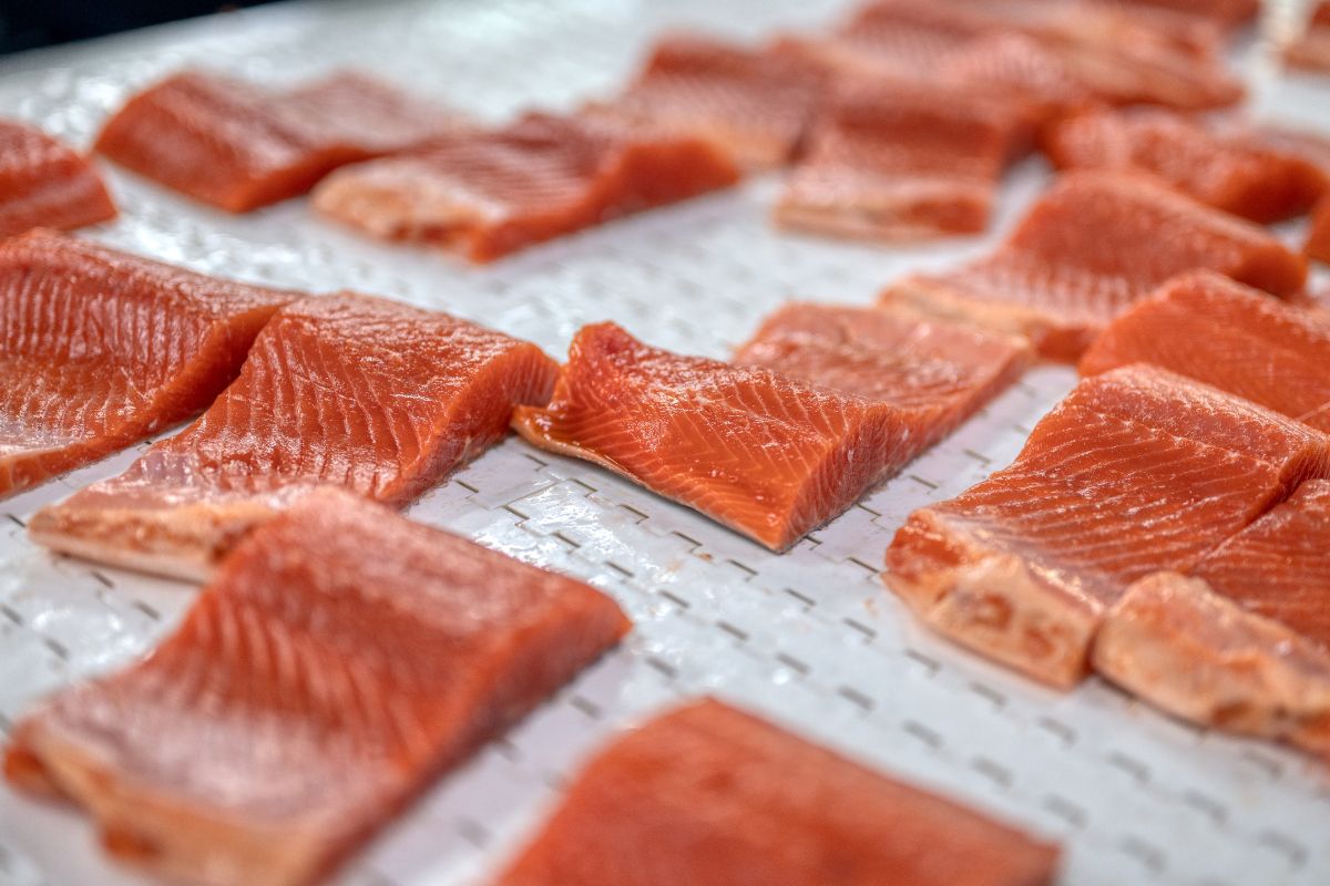 Wiele osób nie zwraca uwagi na smaczną i wartościową rybę. Przegrywa z ...